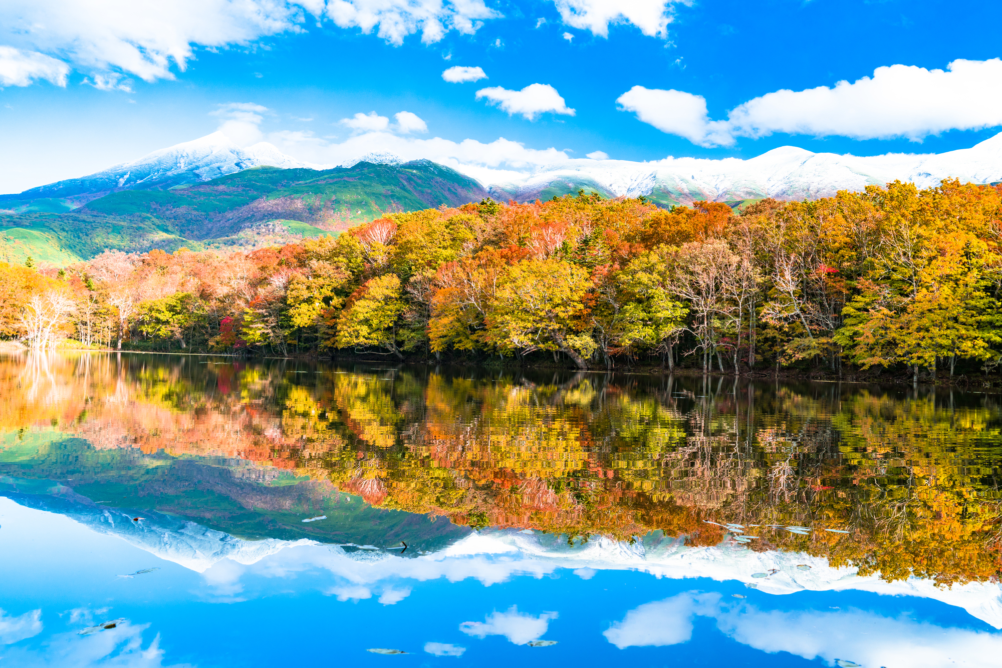 北海道ツアー値下げ情報 東京発｜北海道旅行・北海道ツアーなら格安旅行のJ-TRIP
