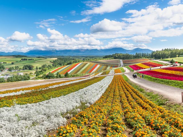とにかく安く行きたい北海道 大阪発｜北海道旅行ツアーを予約するならJALで行く格安旅行のジェイトリップ