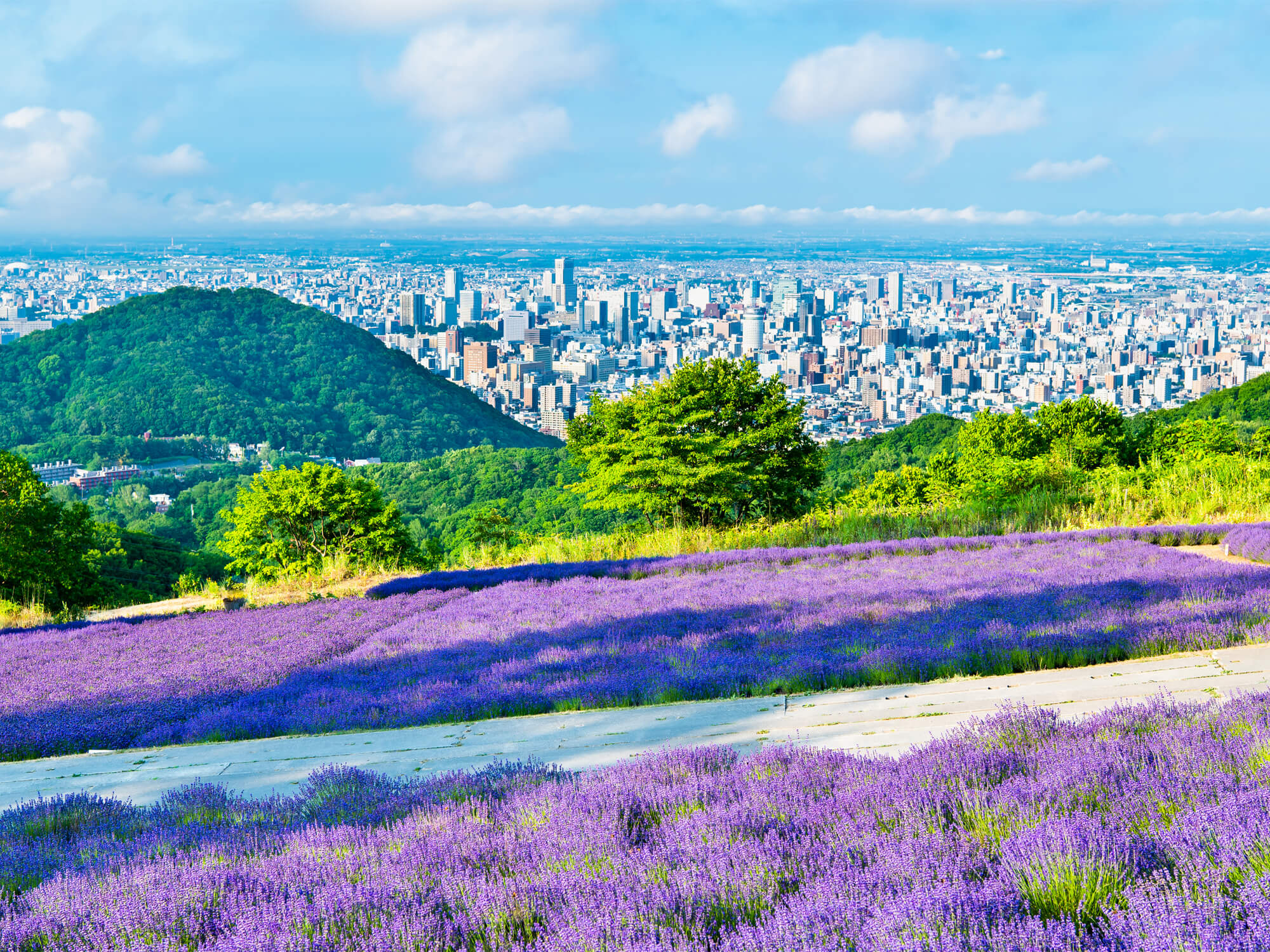 北海道旅行 混雑予想カレンダー 東京発｜北海道旅行・北海道ツアーなら格安旅行のJ-TRIP