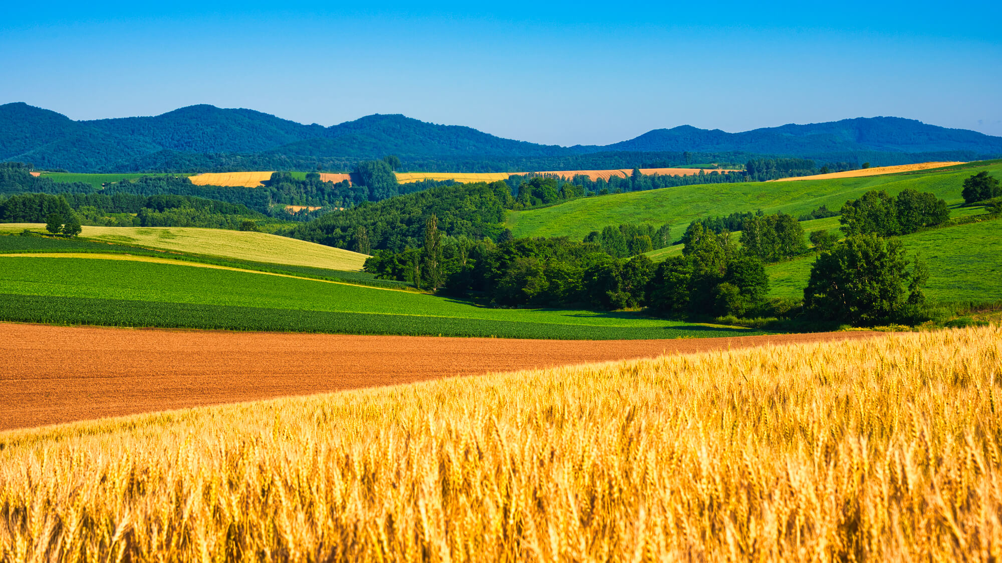 ジェイトリップおすすめ！北海道旅行完全プラン 東京発｜北海道旅行・北海道ツアーを予約するならJALで行く格安旅行のジェイトリップ