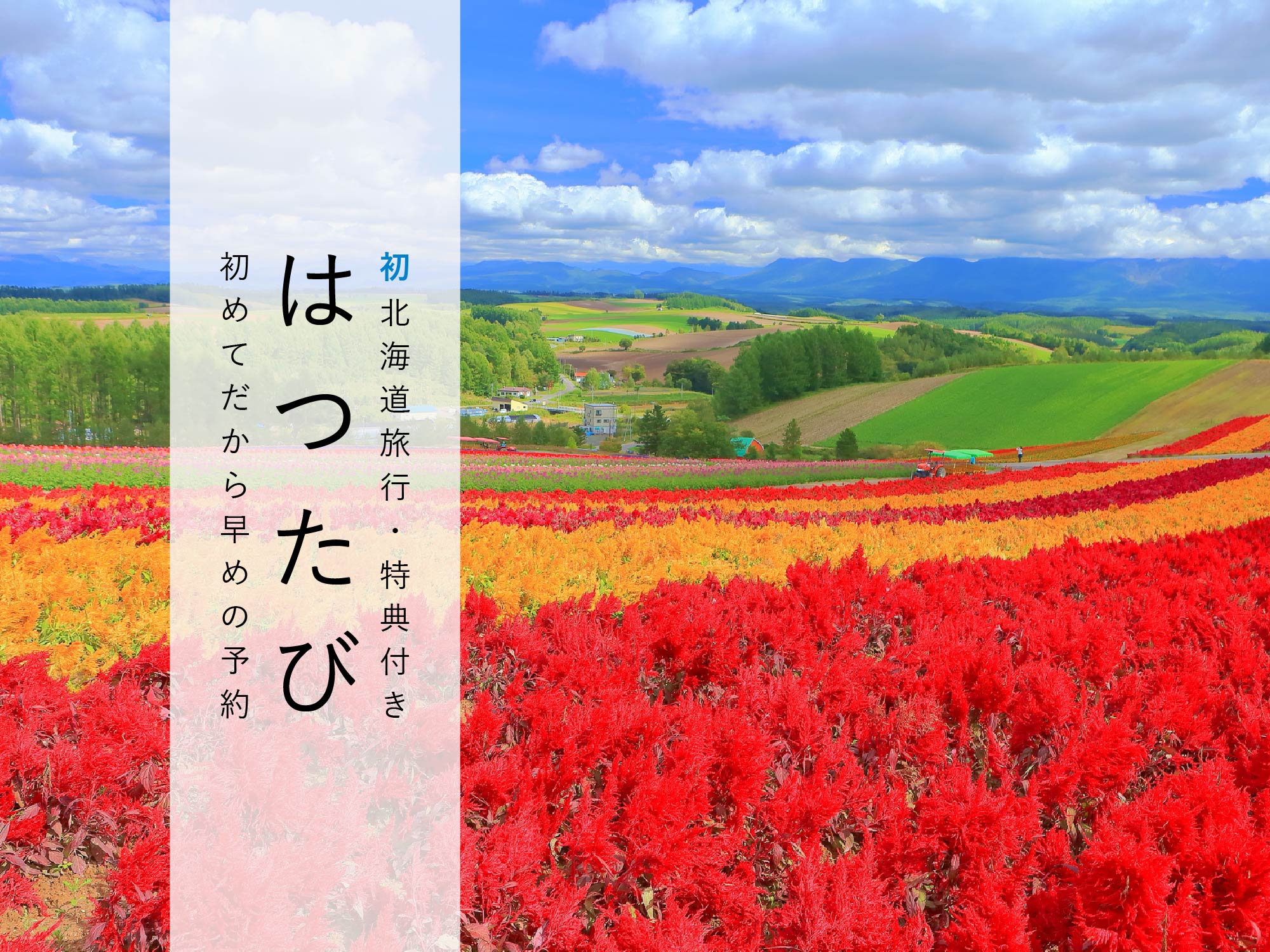 初めての北海道旅行 「はつたび」キャンペーン 東京発｜北海道旅行・北海道ツアーを予約するならJALで行く格安旅行のジェイトリップ